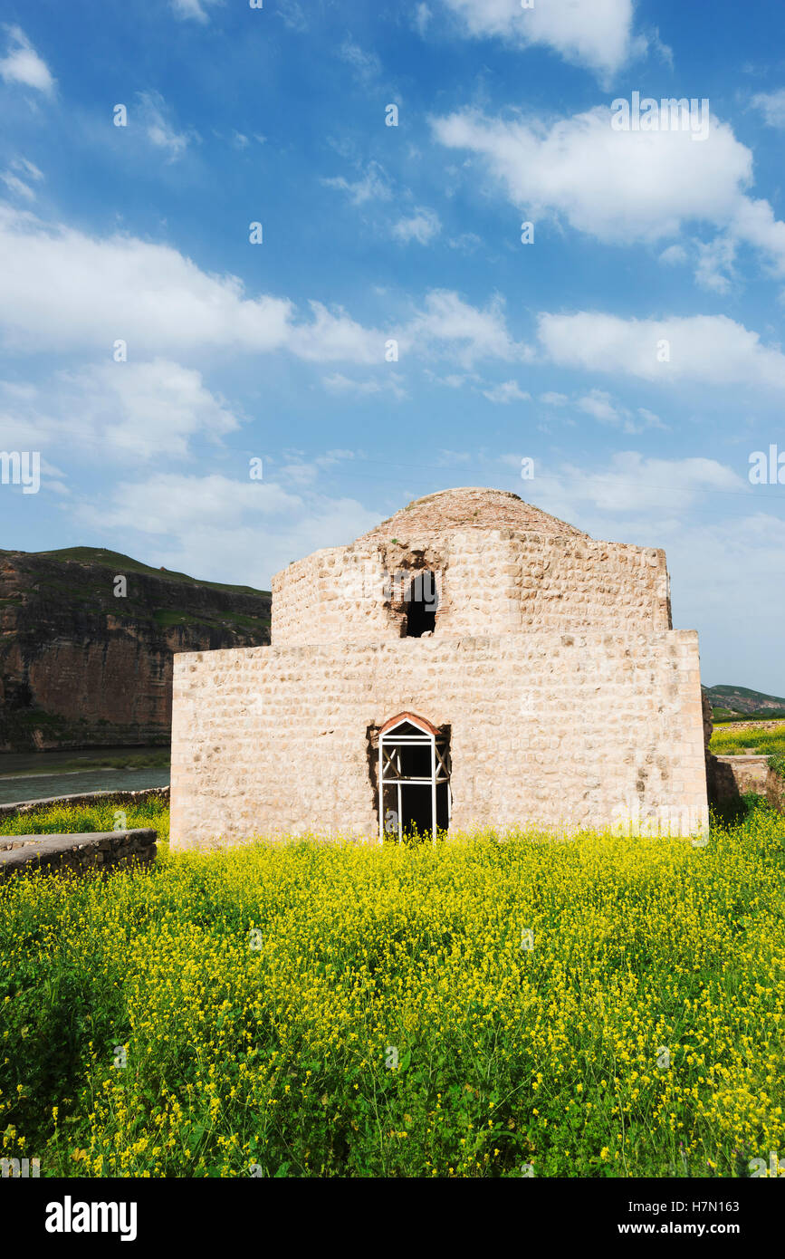Turkey, Eastern Anatolia, Hasankeyf, slated for flooding under the ...