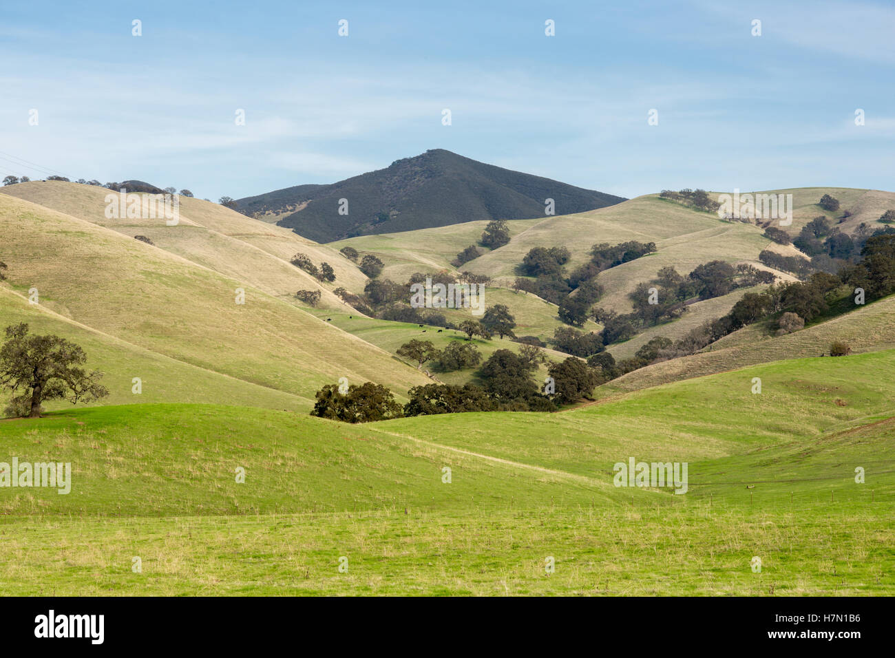 Mt Diablo State Park Nature Stock Photo - Alamy