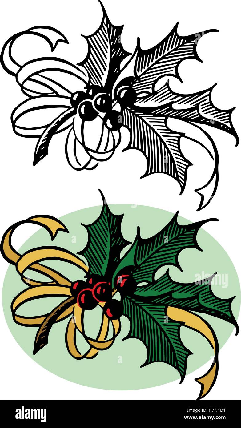 A sprig of Christmas holiday holly leaves Stock Vector Image & Art - Alamy