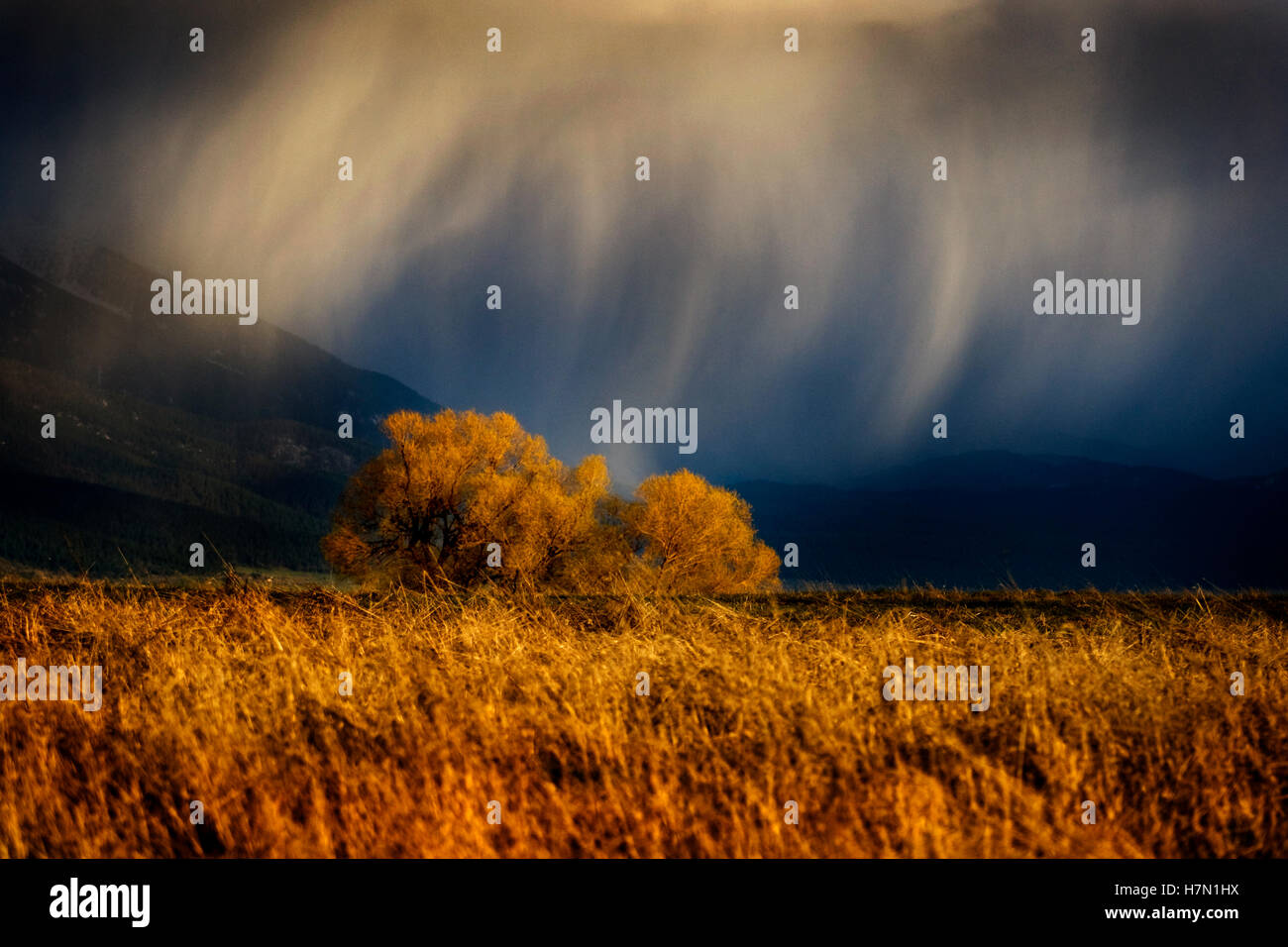 Prairie shower hi-res stock photography and images - Alamy