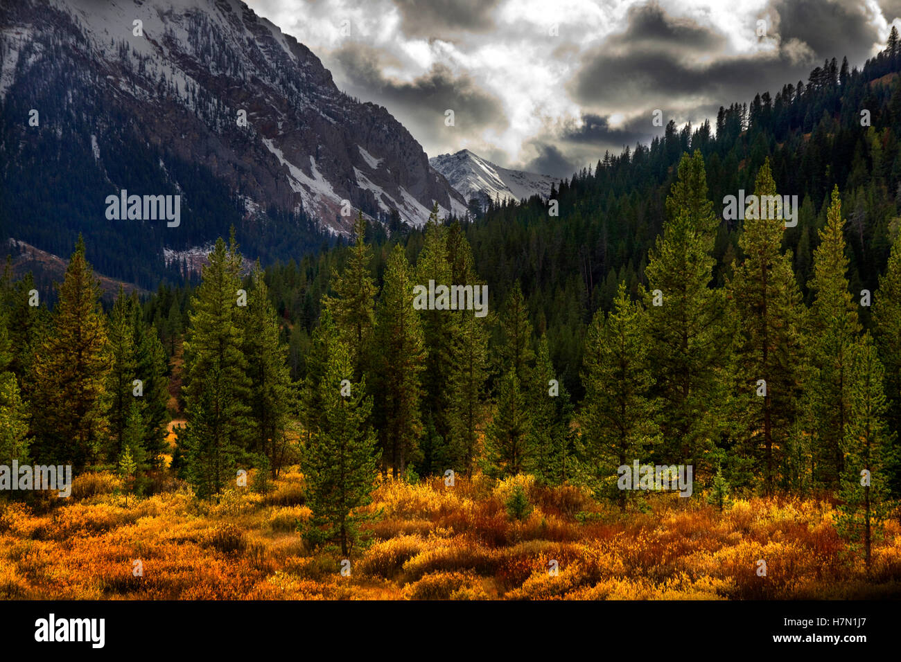 Backwoods of Montana Stock Photo - Alamy