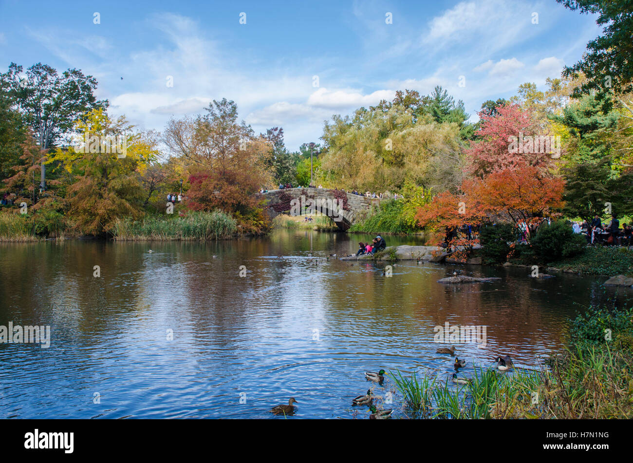 Bridge in distance with birds in water, fall colors all around Stock ...