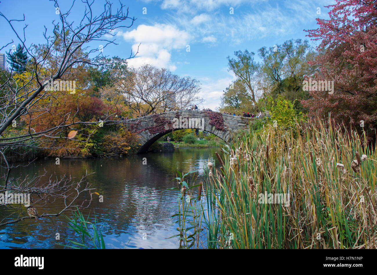 Lake surrounded trees bridge hi-res stock photography and images - Alamy