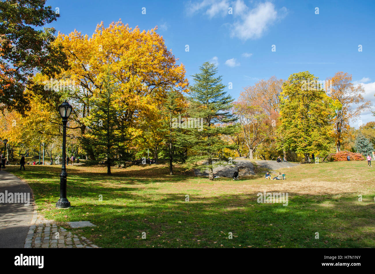 Open grass area with fall colored trees Stock Photo - Alamy