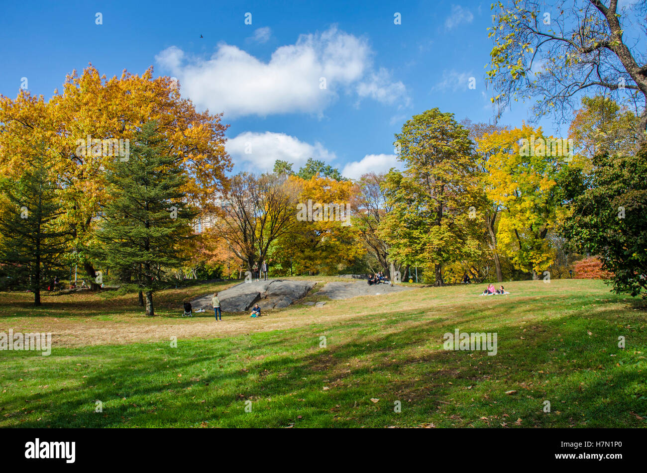 Open field with rocks and fall colored trees Stock Photo - Alamy