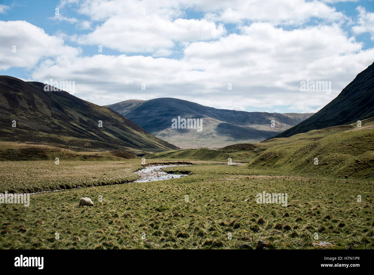 Road driving through Highlands Mountain Scotland UK Stock Photo - Alamy