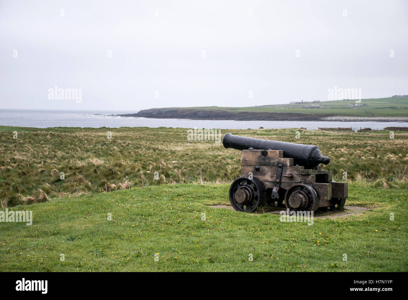 shooting cannon at Orkney coastline cliff landscape Stock Photo - Alamy
