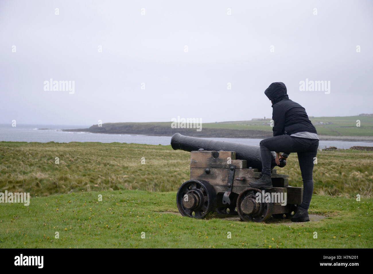 Girl shooting cannon at Orkney coastline cliff landscape Stock Photo ...
