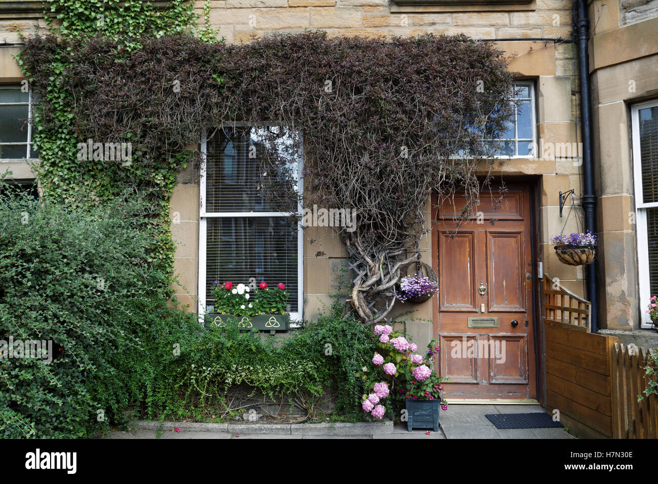 Edinburgh Georgian house fine frontages street views Stock Photo - Alamy