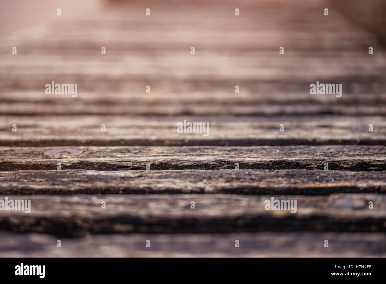 Man made tree hi-res stock photography and images - Alamy