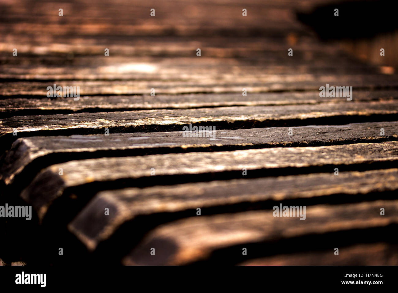 Man made tree hi-res stock photography and images - Alamy