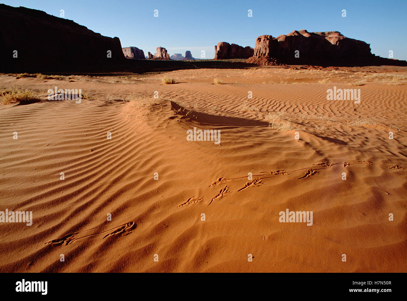 Ripples in sand with buttes in background, Monument Valley Navajo ...