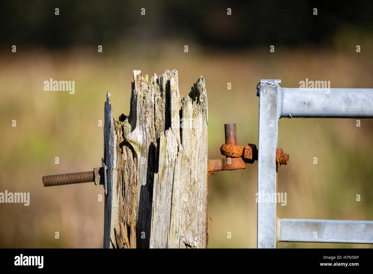 Old rusty fence hi-res stock photography and images - Alamy
