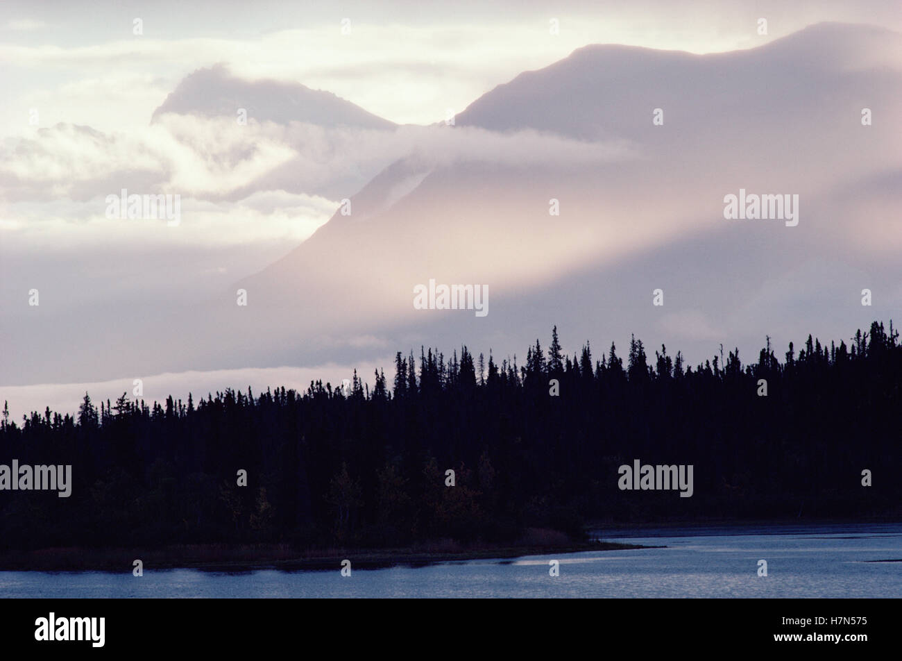 Mist over boreal forest and mountains, Alaska Stock Photo - Alamy