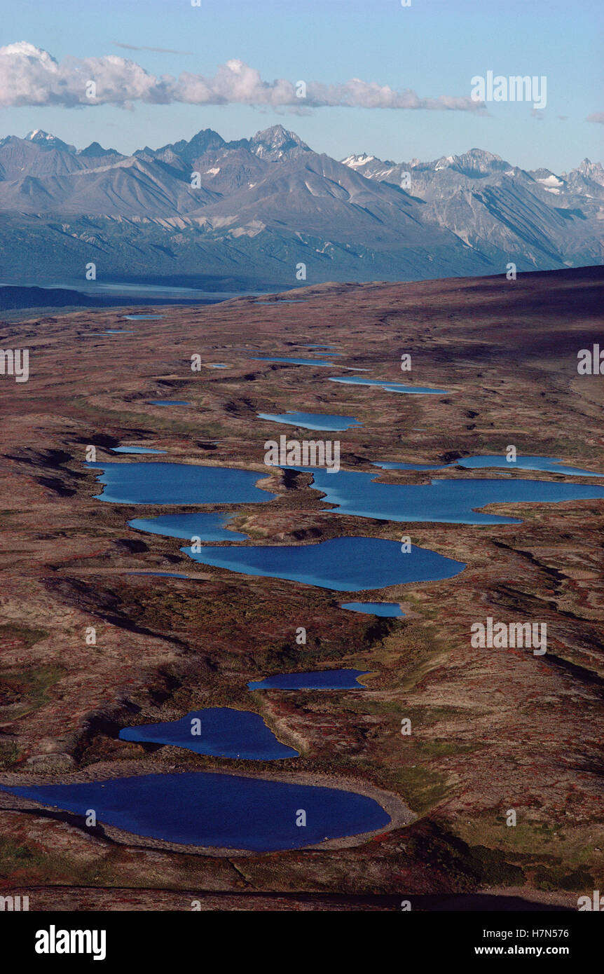 Tundra with ponds and the Alaska Range, Lake Clark National Park and ...