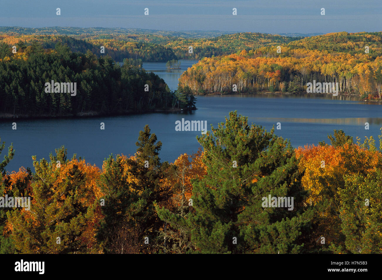 Moose Lake surrounded by trees in fall colors, Boundary Waters Canoe ...