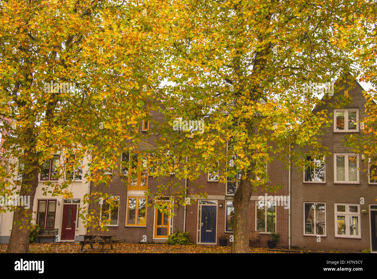 traditional dutch houses Zaandam village Autumn Stock Photo - Alamy
