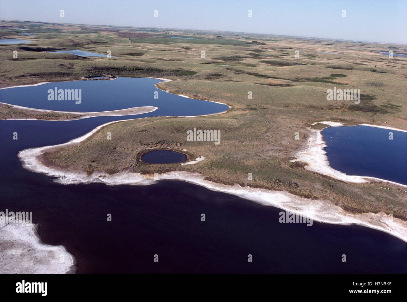 Aerial view of prairie pothole region, a unique area where shallow ...