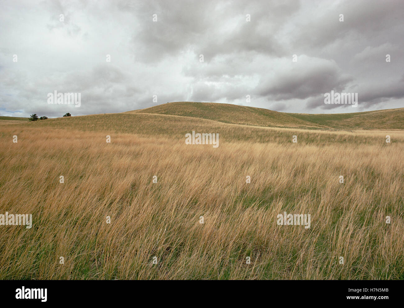 Stormy skies over tallgrass prairie, Wind Cave National Park, South ...