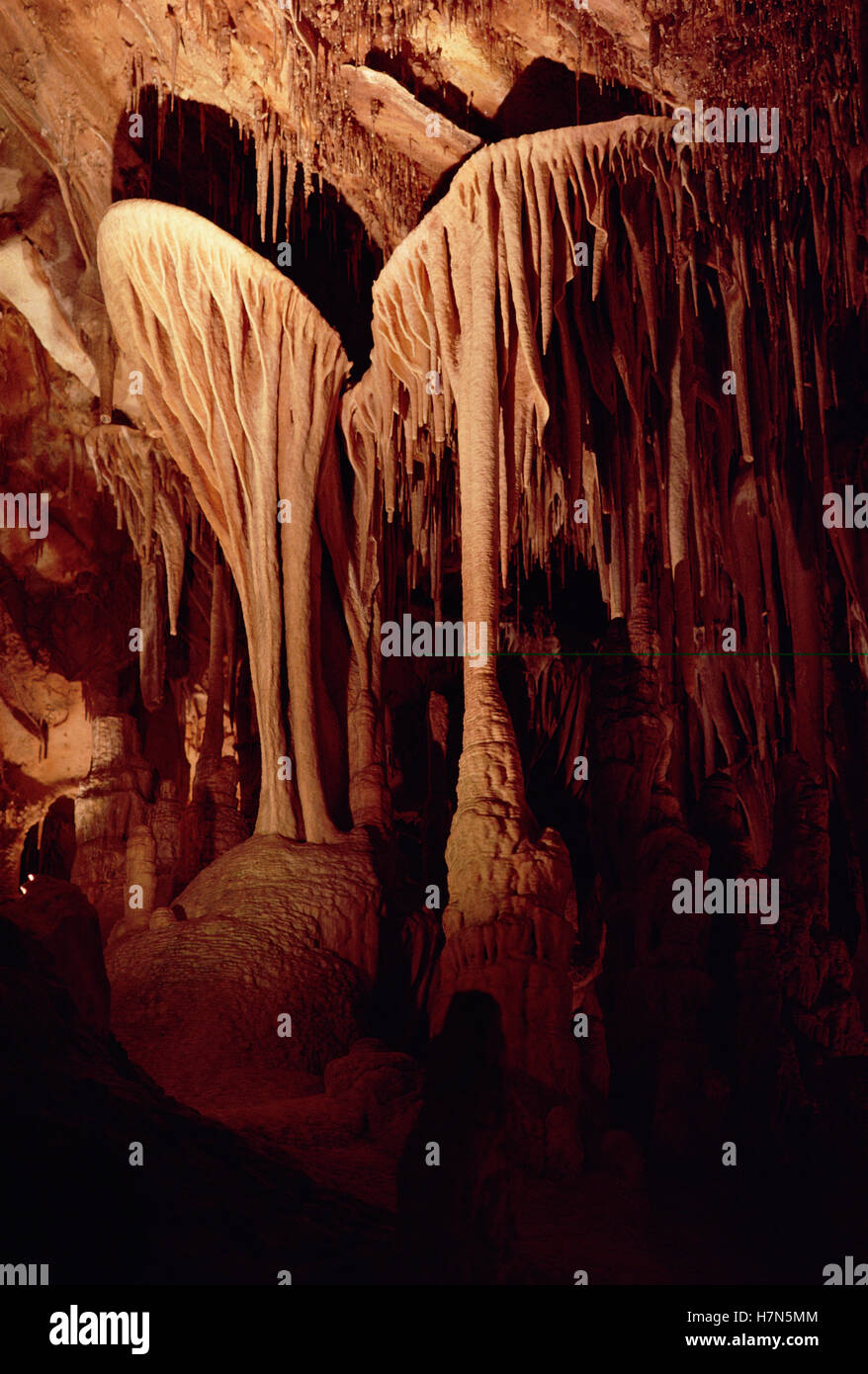 Stalactites at Lehman Caves, Great Basin National Park, Nevada Stock ...