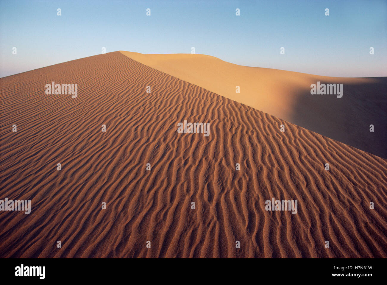 Wind ripples in sand dunes, Namib Desert, Namibia Stock Photo - Alamy
