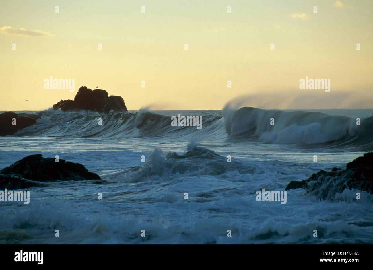Surf at sunset, Point Lobos State Park, California Stock Photo - Alamy