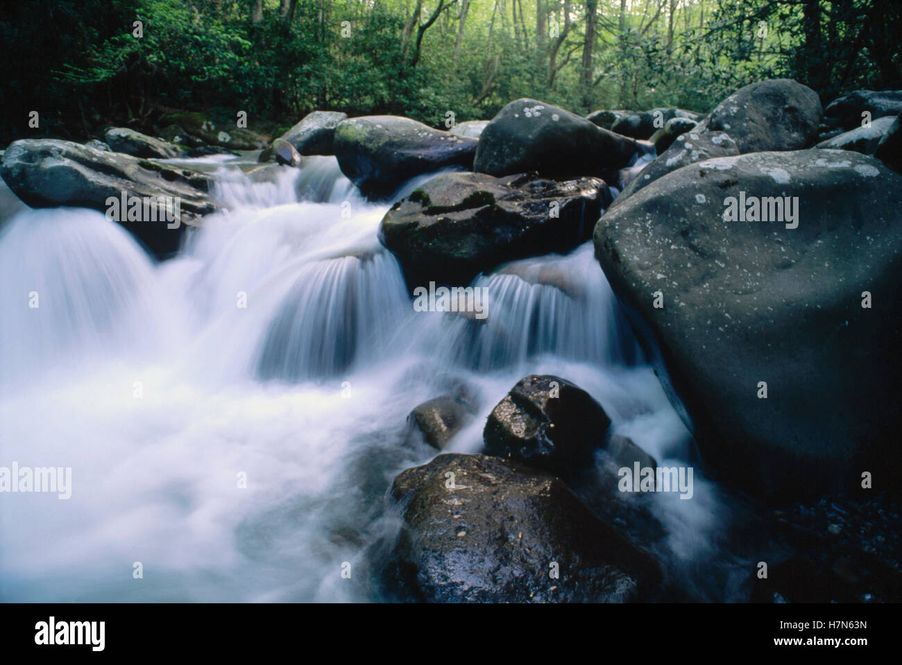 Cascading stream, Great Smoky Mountains National Park, North Carolina ...