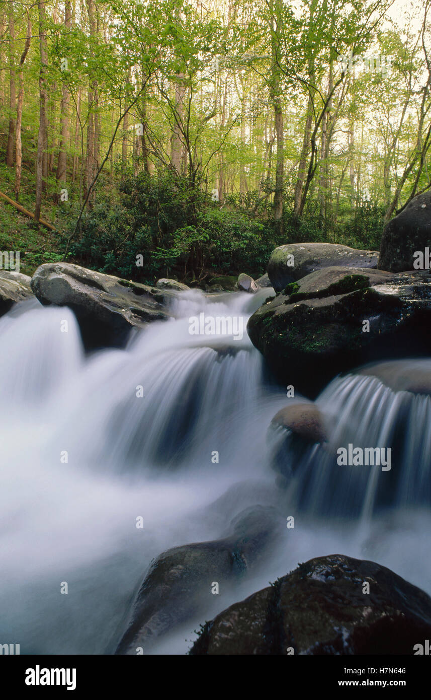 Cascading stream, Great Smoky Mountains National Park, North Carolina Stock Photo - Alamy