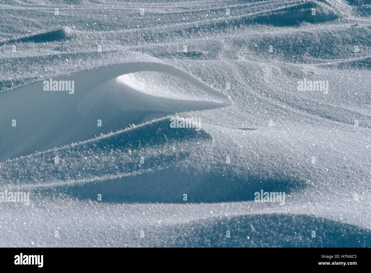 Snow detail, Ellesmere Island, Nunavut, Canada Stock Photo - Alamy