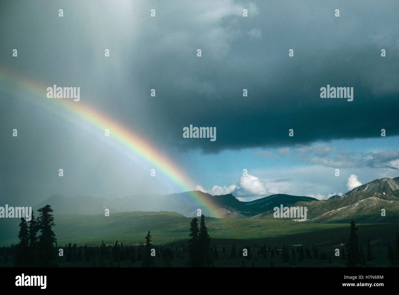Rainbow in Denali National Park and Preserve, Alaska Stock Photo - Alamy