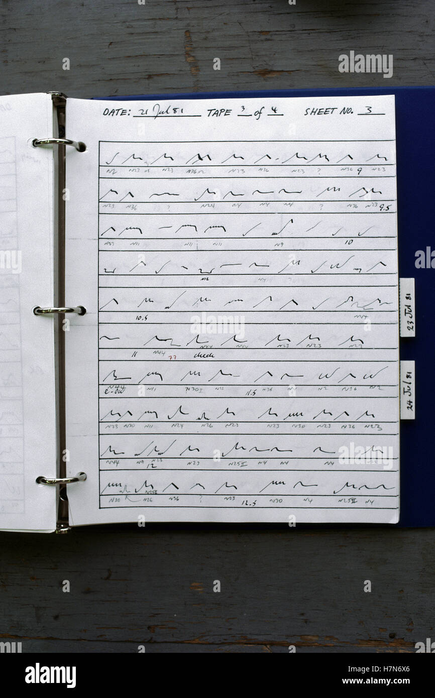 Orca (Orcinus orca) vocalizations recorded in shorthand in research log ...