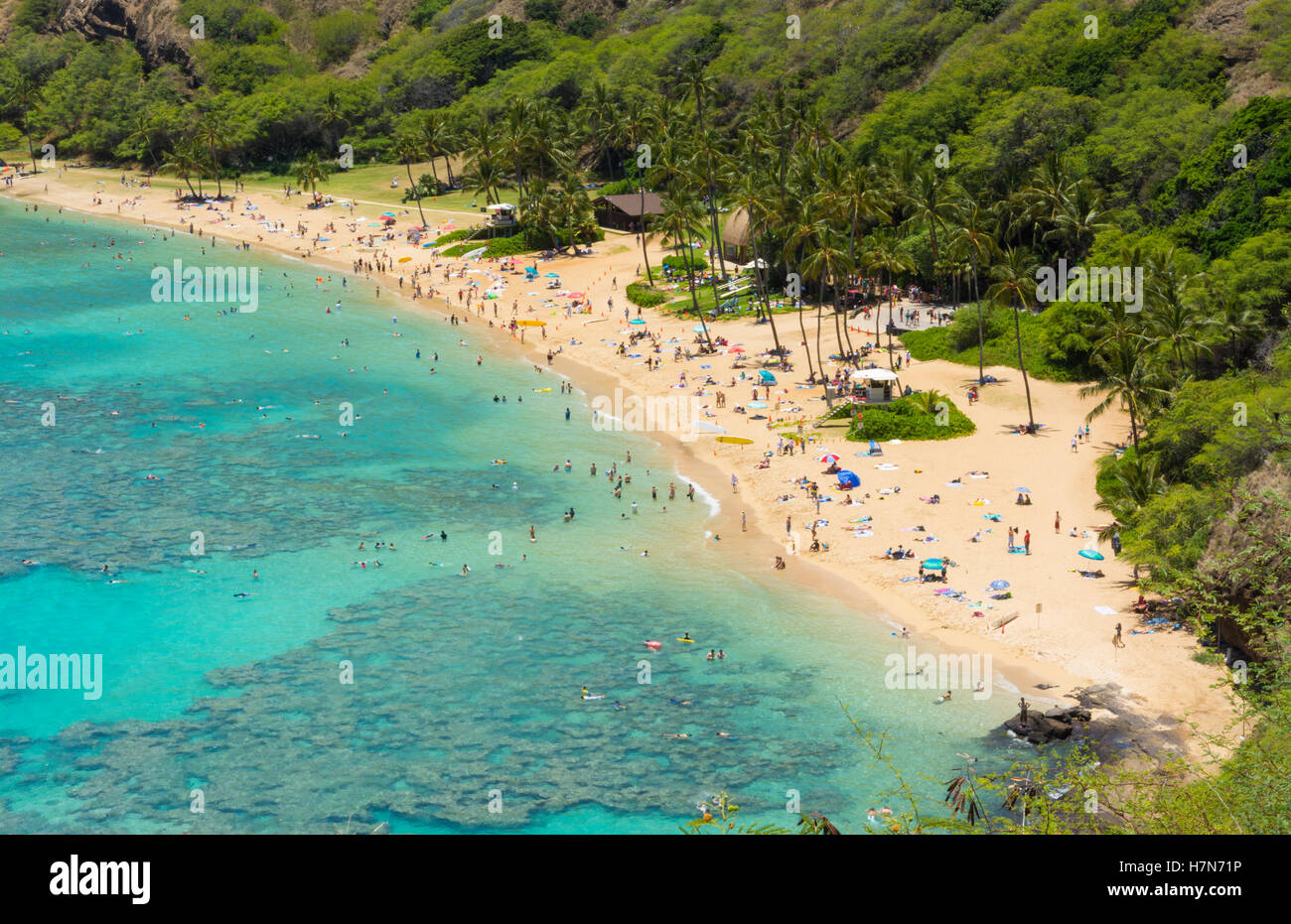 Honolulu Hawaii Oahu famous reef at Hanauma Bay coral from above ...