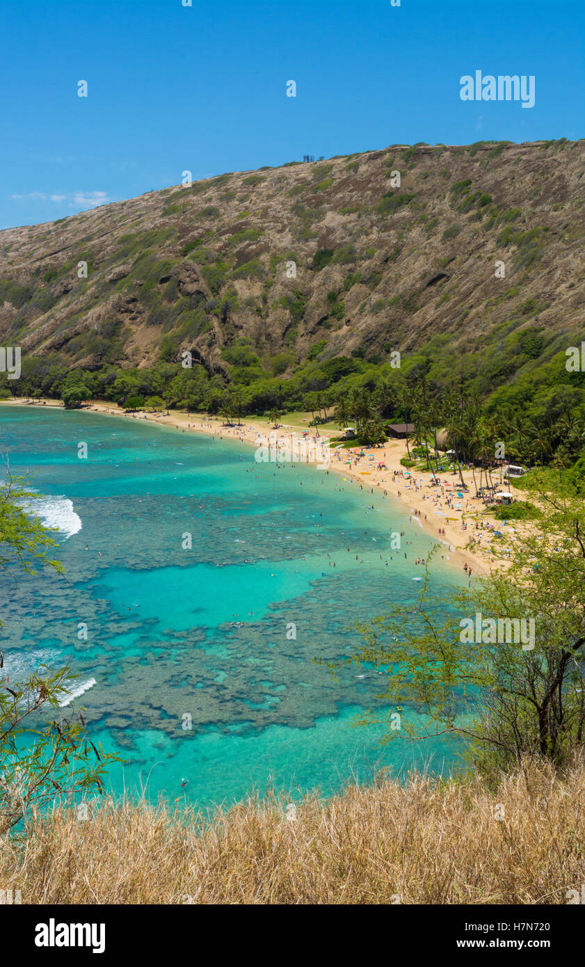 Honolulu Hawaii Oahu famous reef at Hanauma Bay coral from above ...