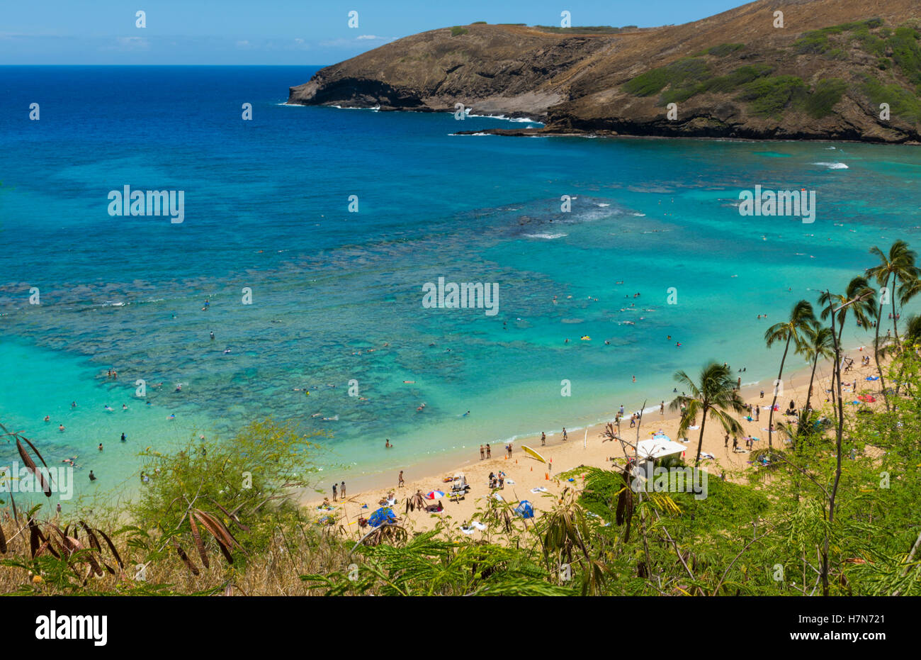 Honolulu Hawaii Oahu famous reef at Hanauma Bay coral from above ...
