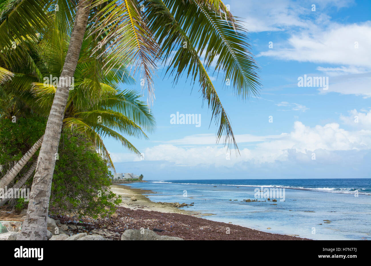 Majuro Marshall Islands beach with palm trees and ocean romantic scene ...