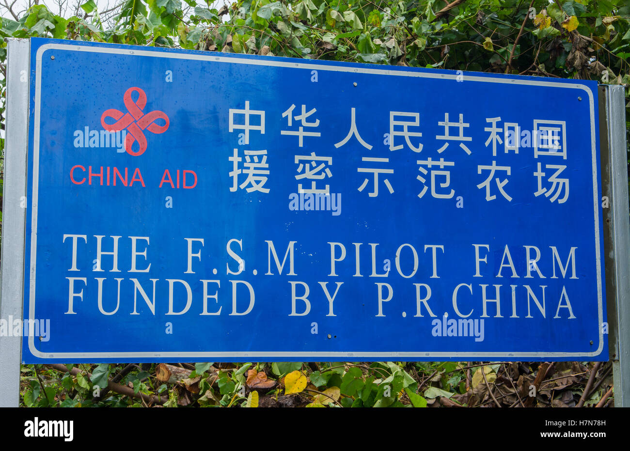 Pohnlangs Micronesia a Chinese Agriculture project called F.S.M. Pilot ...