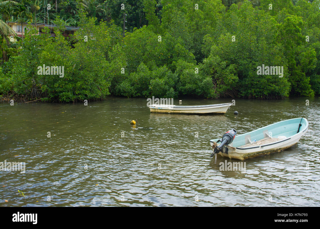 Pohnpei Micronesia boats on water at local homes used for fishing Stock ...