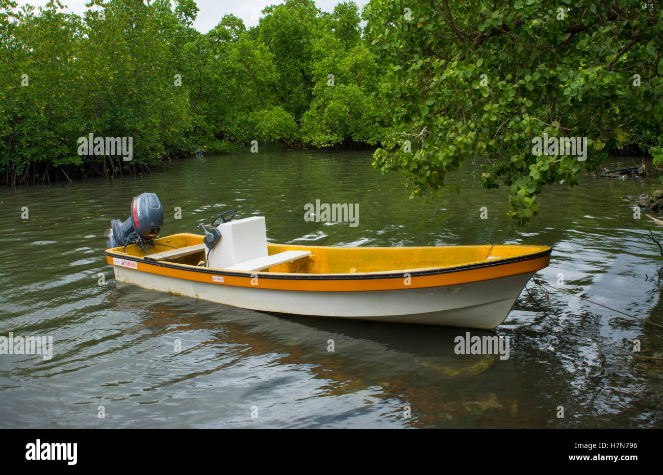 Pohnpei Micronesia boats on water at local homes used for fishing Stock ...