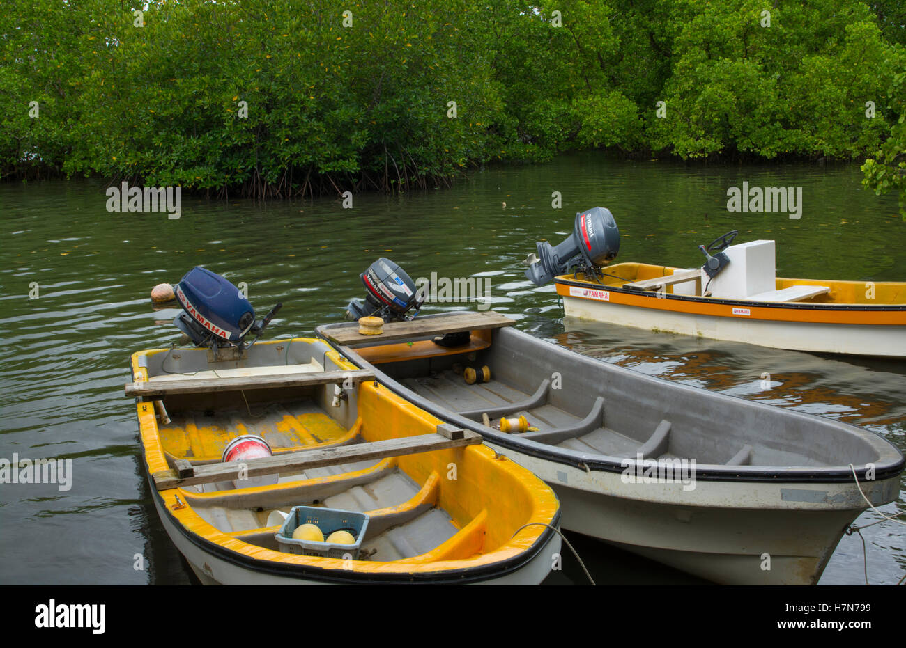 Pohnpei Micronesia boats on water at local homes used for fishing Stock ...