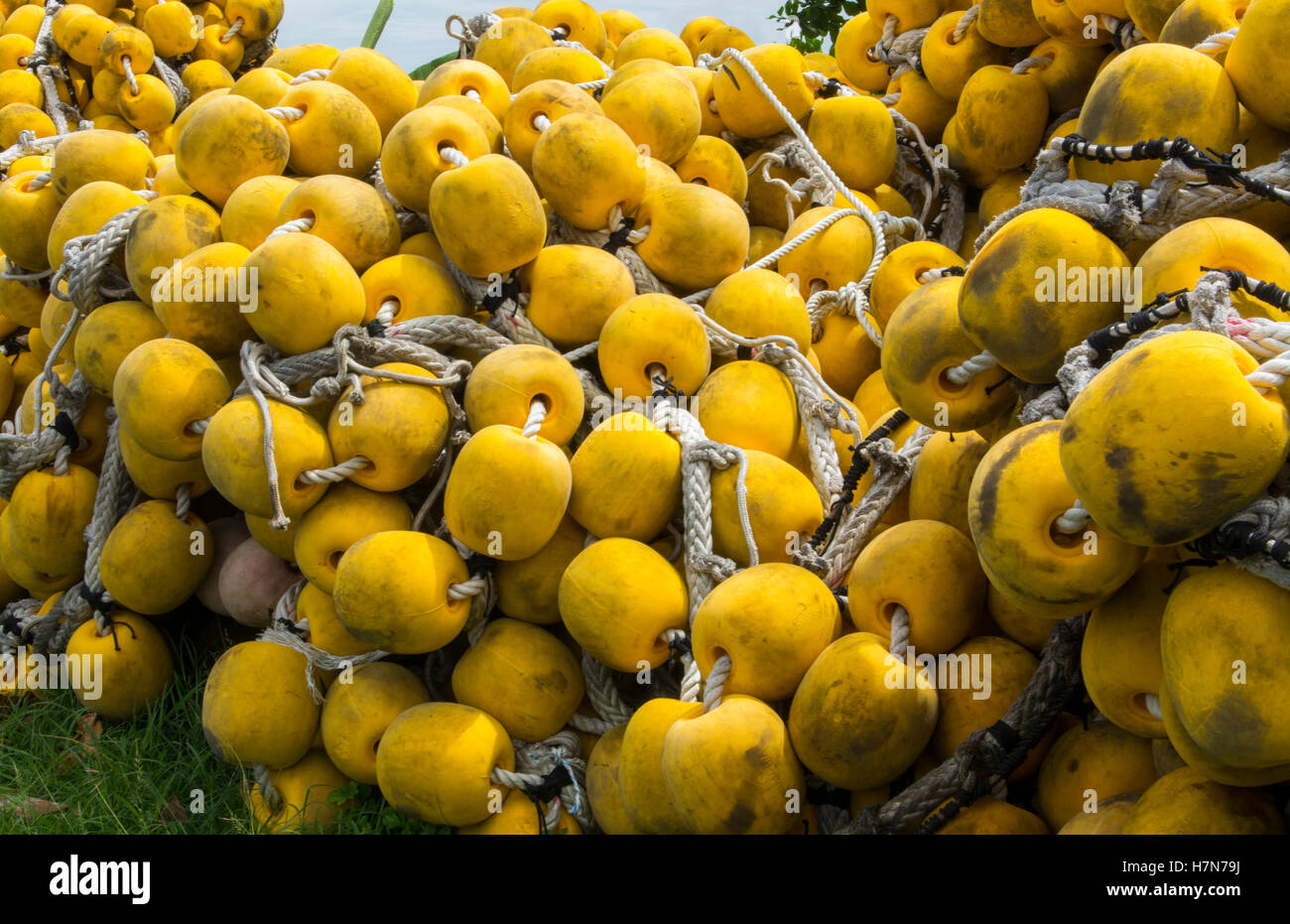 Pohnpei Micronesia buoys at harbor for fishermen and boaters Stock ...