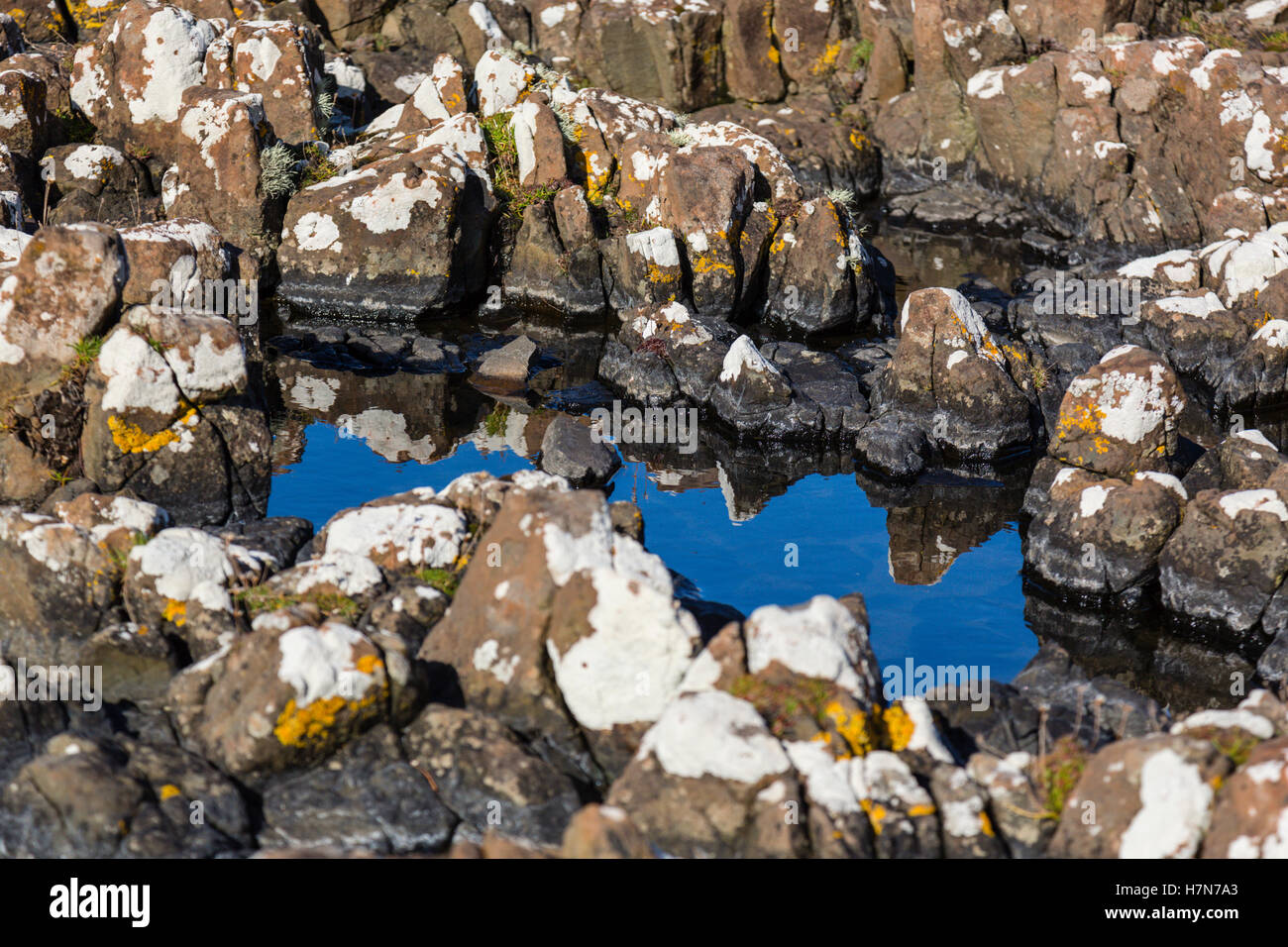 Abstract rock formation, Coral Beach, Isle of Skye, Dunvegan, Scotland ...