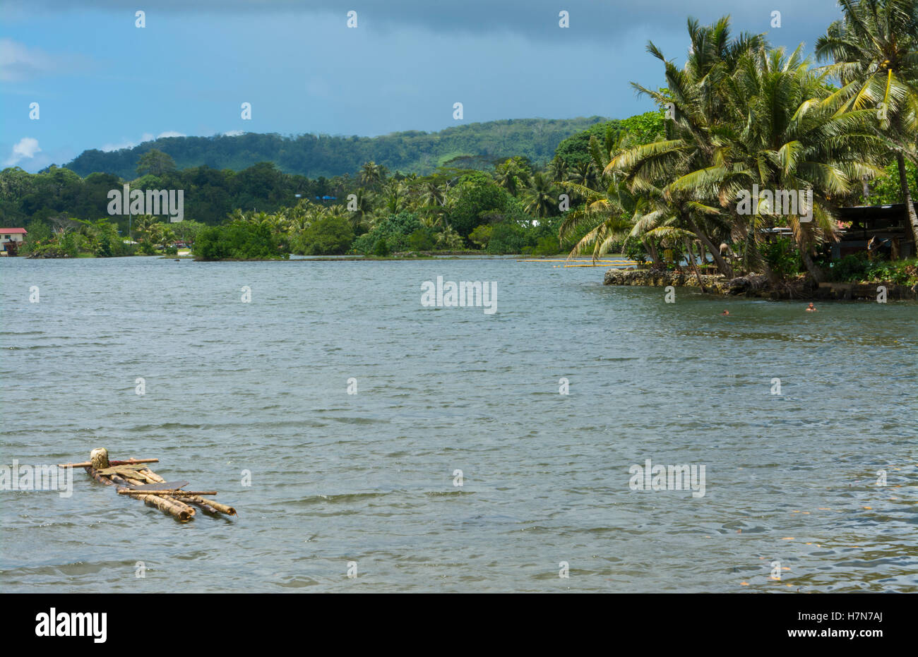 Pohnpei Micronesia traditional bamboo flat boat with palm trees in bay ...
