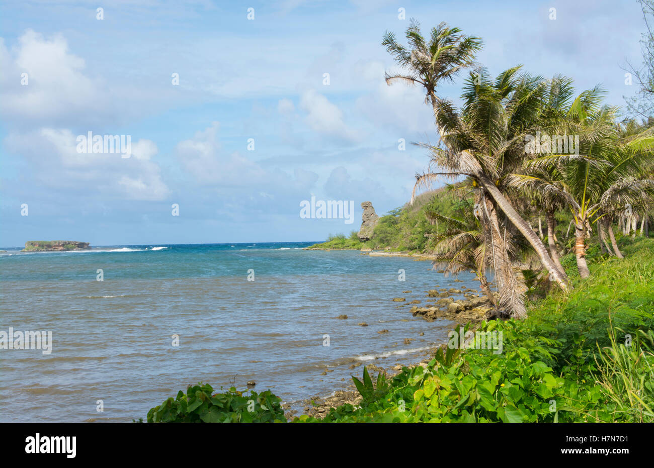 Guam USA Territory palms and waves at Bear Rock in South Guam Stock ...