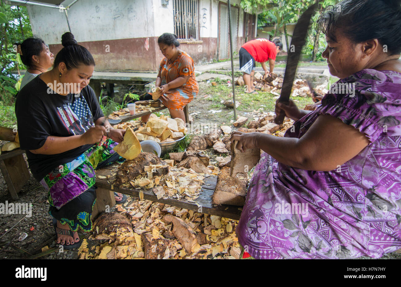 Pohnpei Micronesia women cutting taro root with knives in outdoor ...