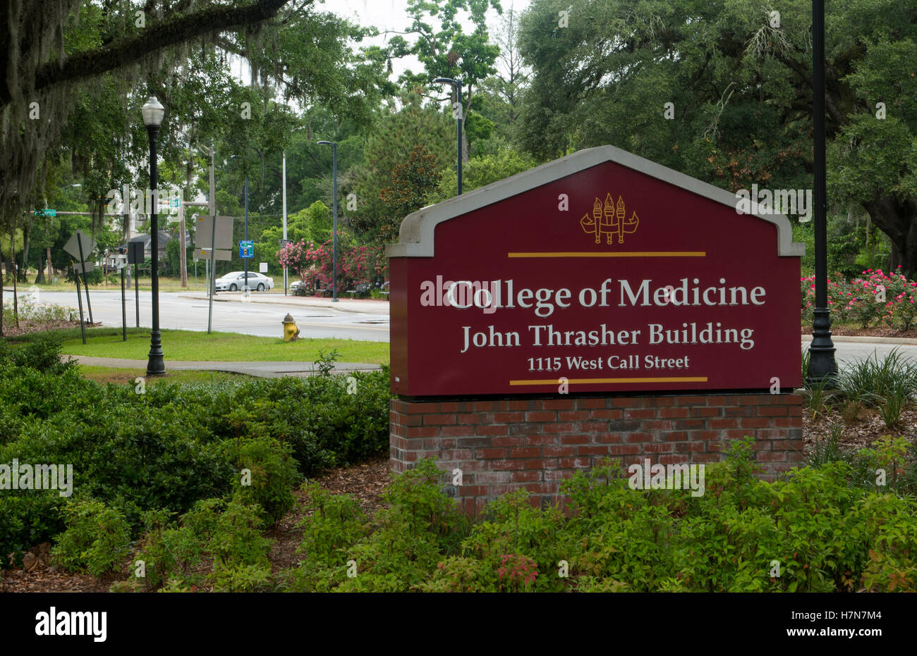 Tallahassee University Stock Photos & Tallahassee University Stock ...