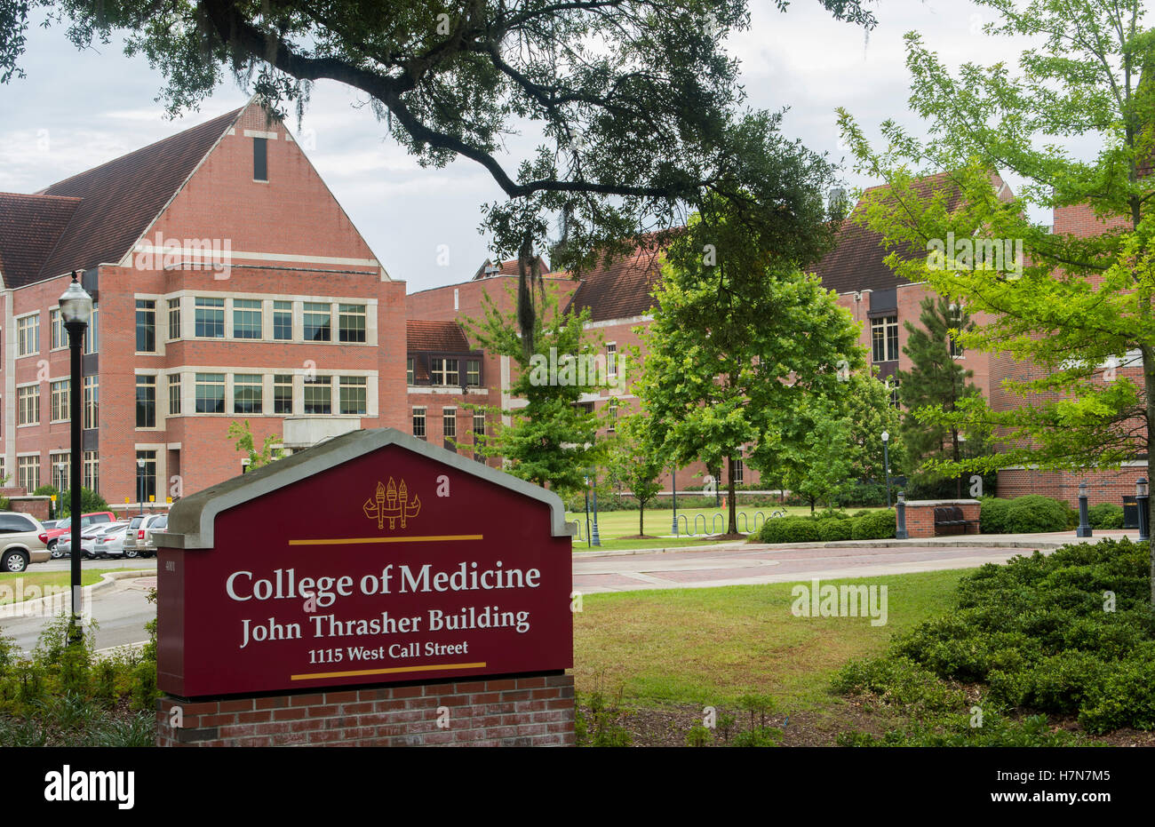 Tallahassee Florida FSU college medicine University at Florida Sate ...
