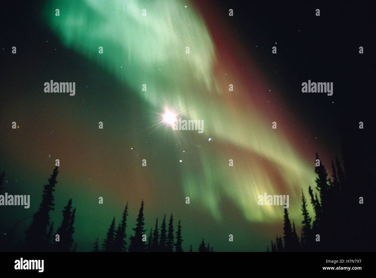 Aurora borealis showing the North Star and Big Dipper, Alaska Stock ...