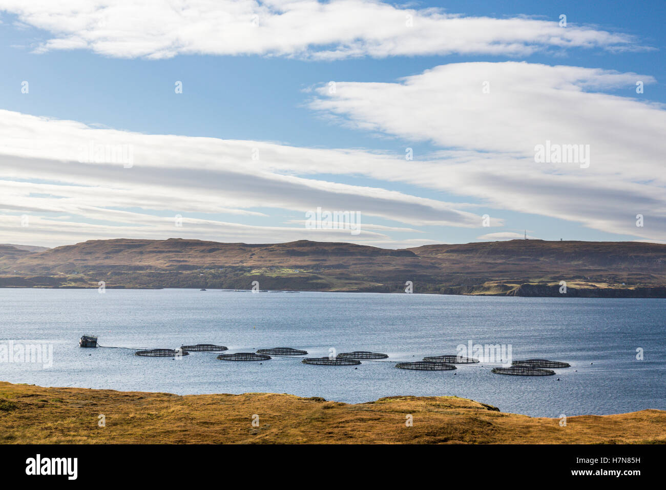 Fish farming, Sea, Fjord, Dunvegan, Isle of Skye, Scotland Stock Photo ...