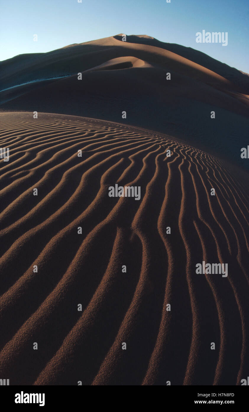 Wind ripples in sand dunes, Namib Desert, Namibia Stock Photo - Alamy