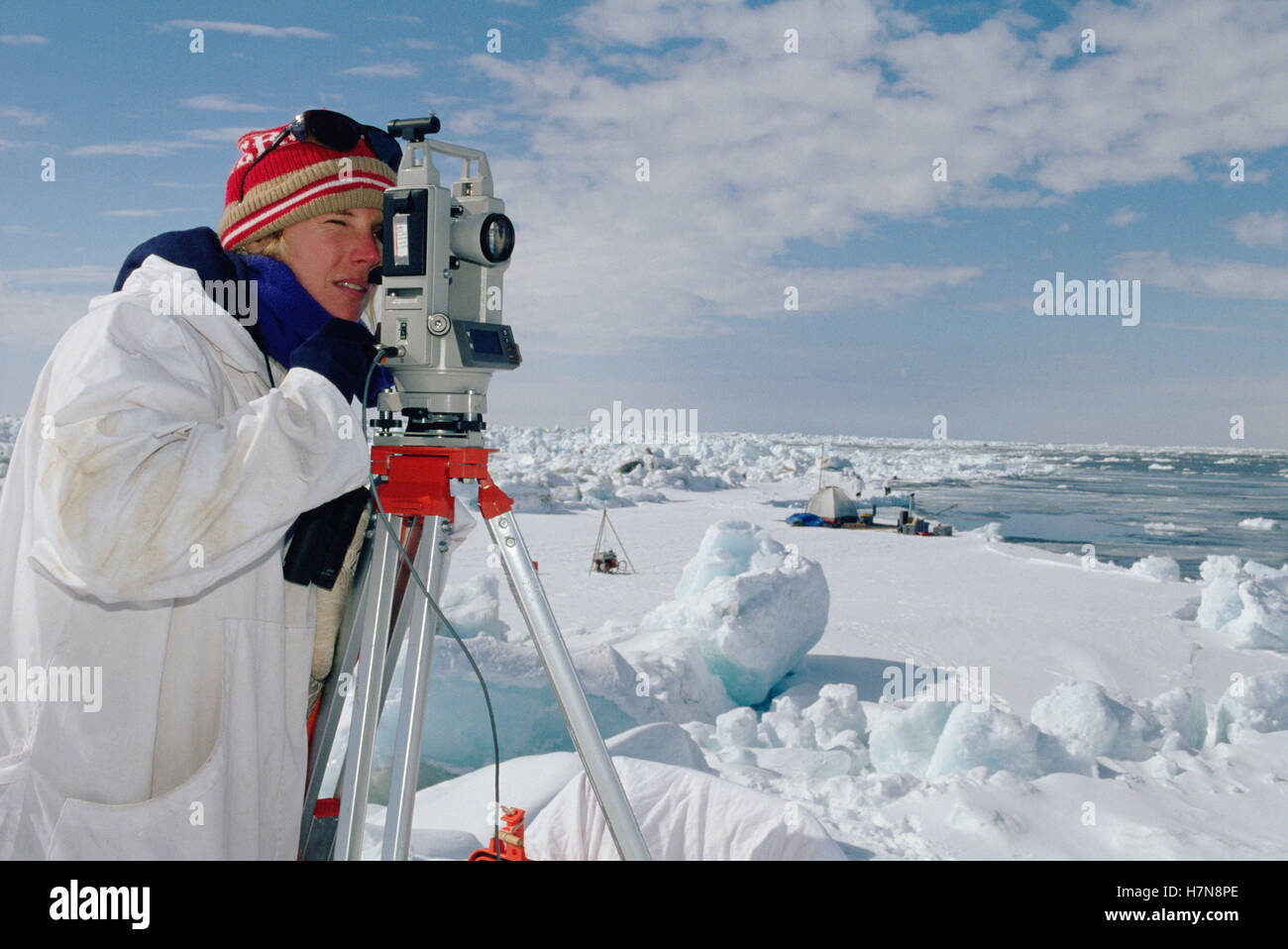 Bowhead Whale (Balaena mysticetus) researcher surveys passing whales ...